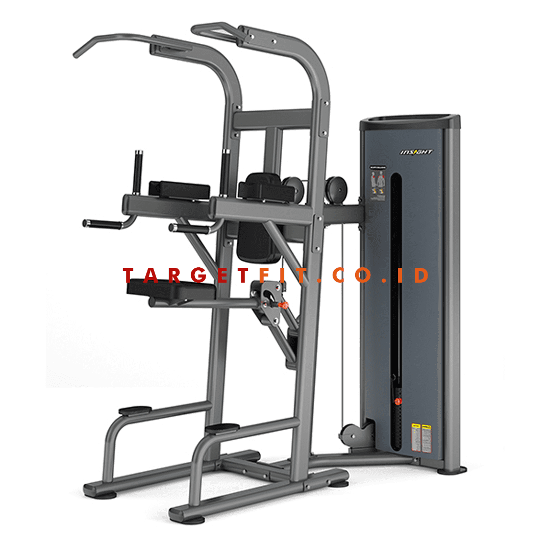 Insight Easy Chin and Dip DA008 - Fitnesspedia