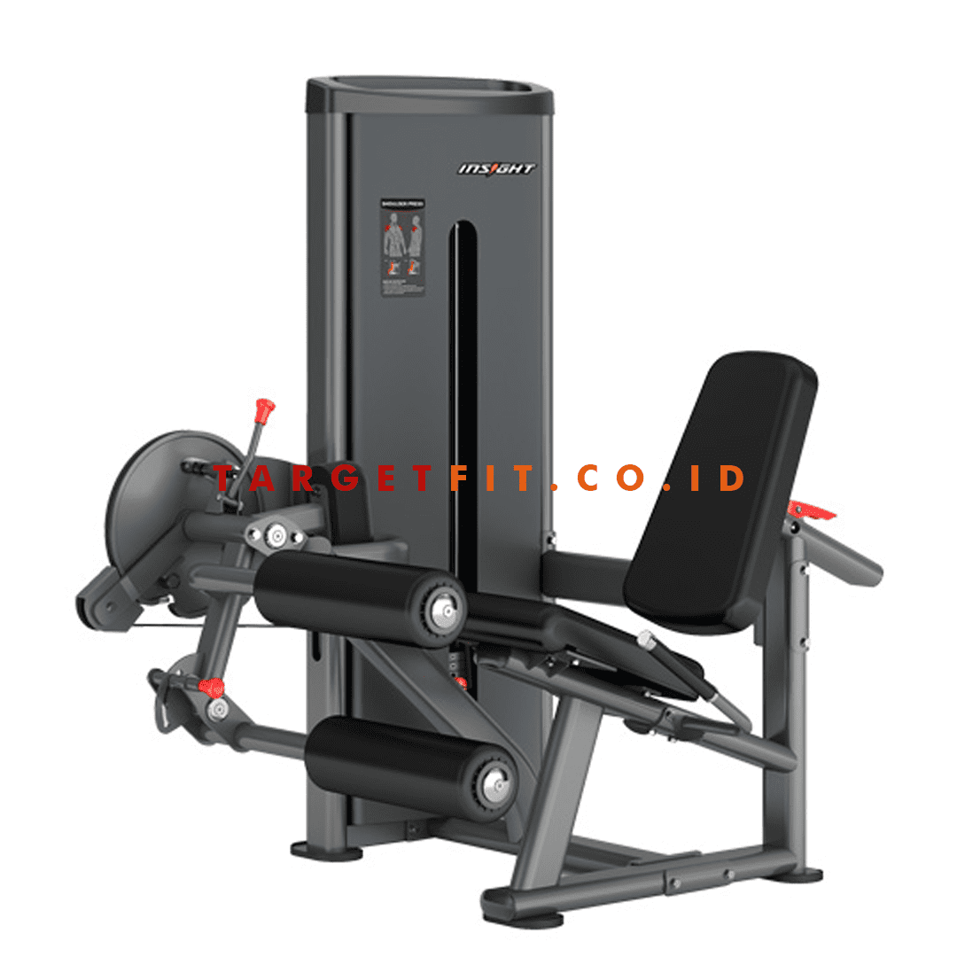 Insight Leg Curl and Extension DA025 - Fitnesspedia