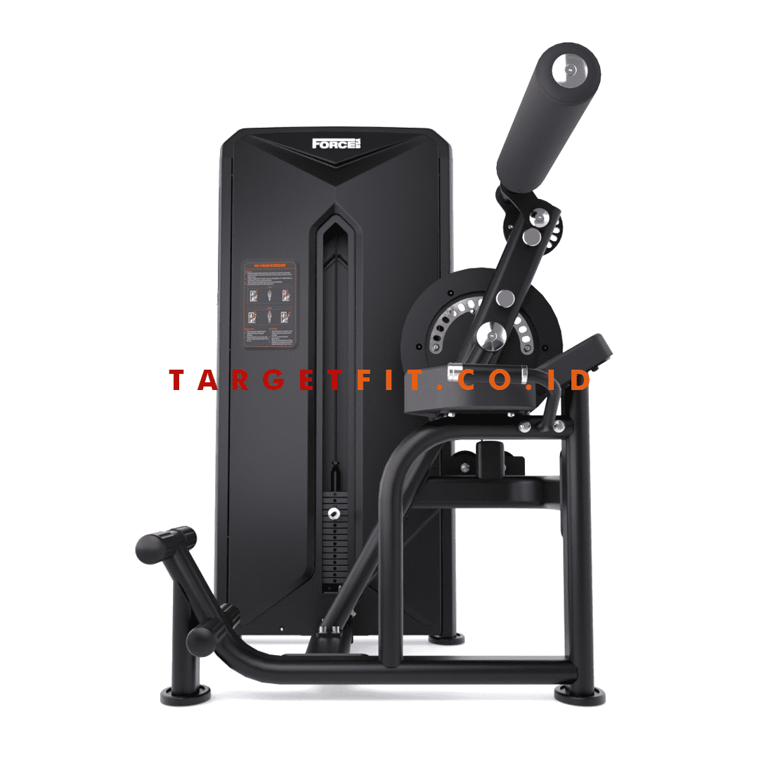 Force USA Abdominal Back Extension Machine Solitude Series - Fitnesspedia